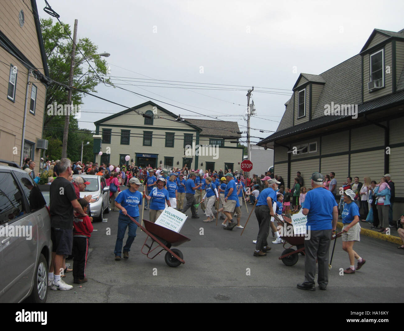 This image represents a moment of scientific observation in nature ...