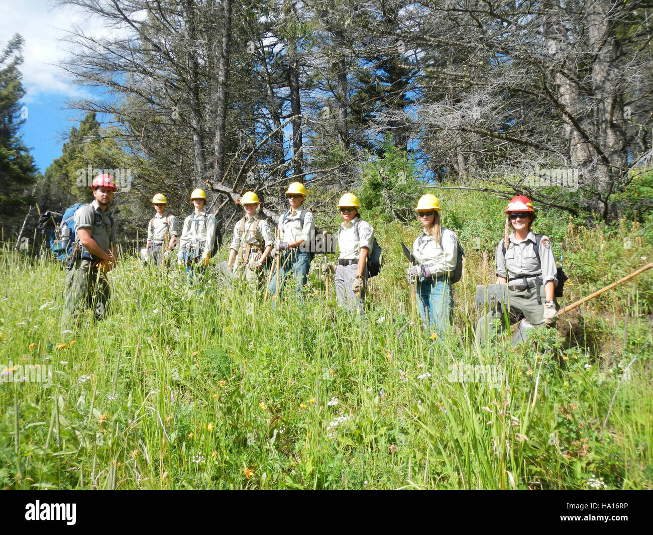 The Youth Conservation Corps (YCC) session at Yellowstone National Park engages young people in ...