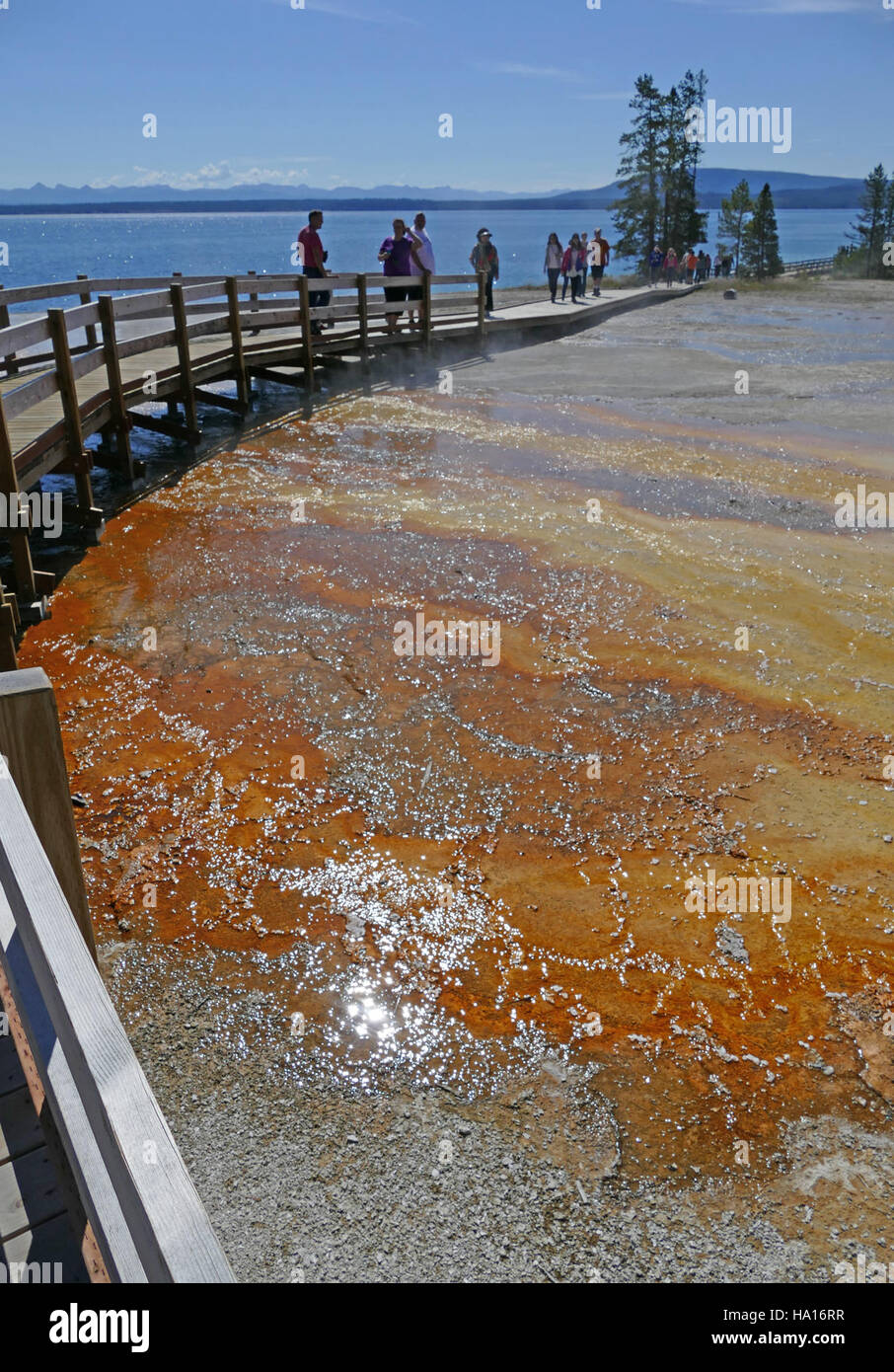 The West Thumb Geyser Basin in Yellowstone National Park is home to ...