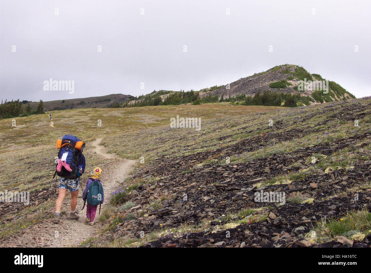 The image depicts a group of wilderness hikers, including a child ...