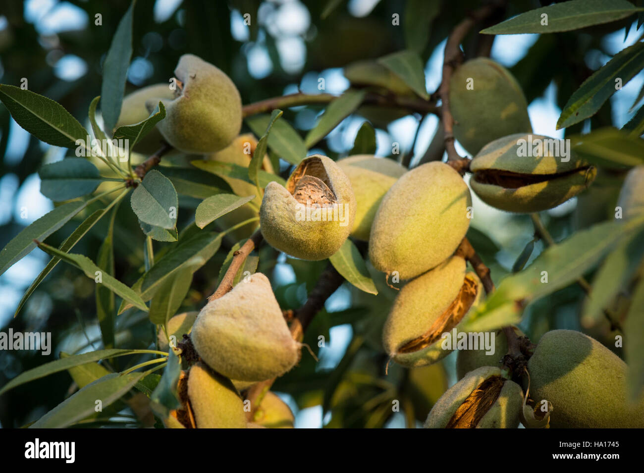 The NRCS Conservation Plan supports sustainable farming through ...