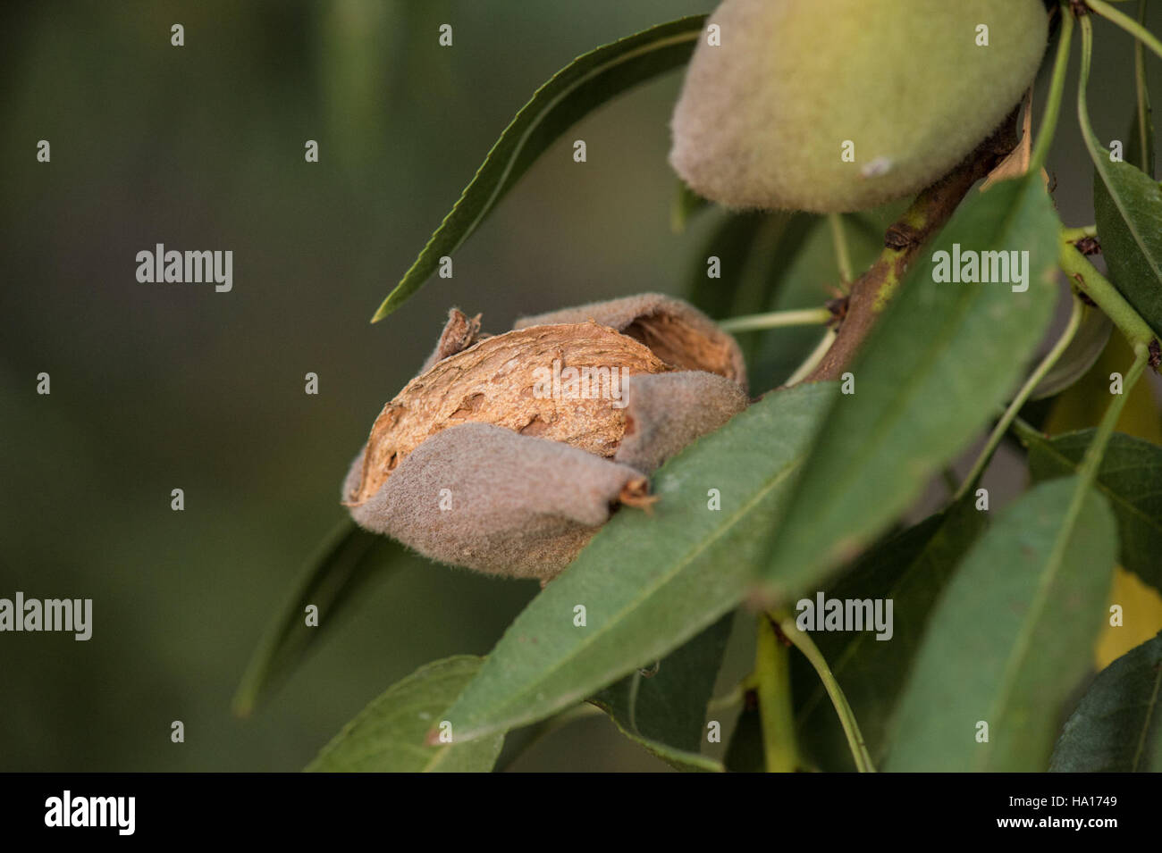 The NRCS Conservation Plan at Mota Ranch focuses on soil conservation ...