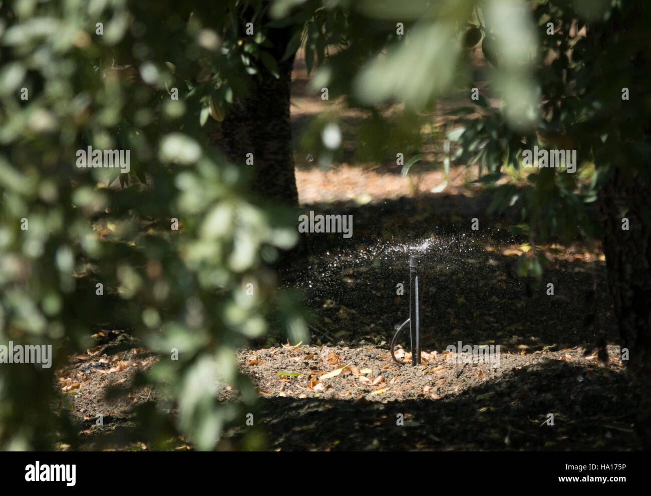 A conservation plan designed to improve agricultural sustainability ...