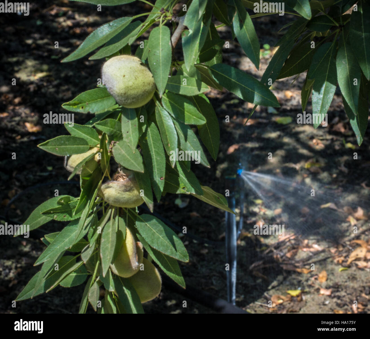 The USDA’s Conservation Plan focuses on cover crop use and ...