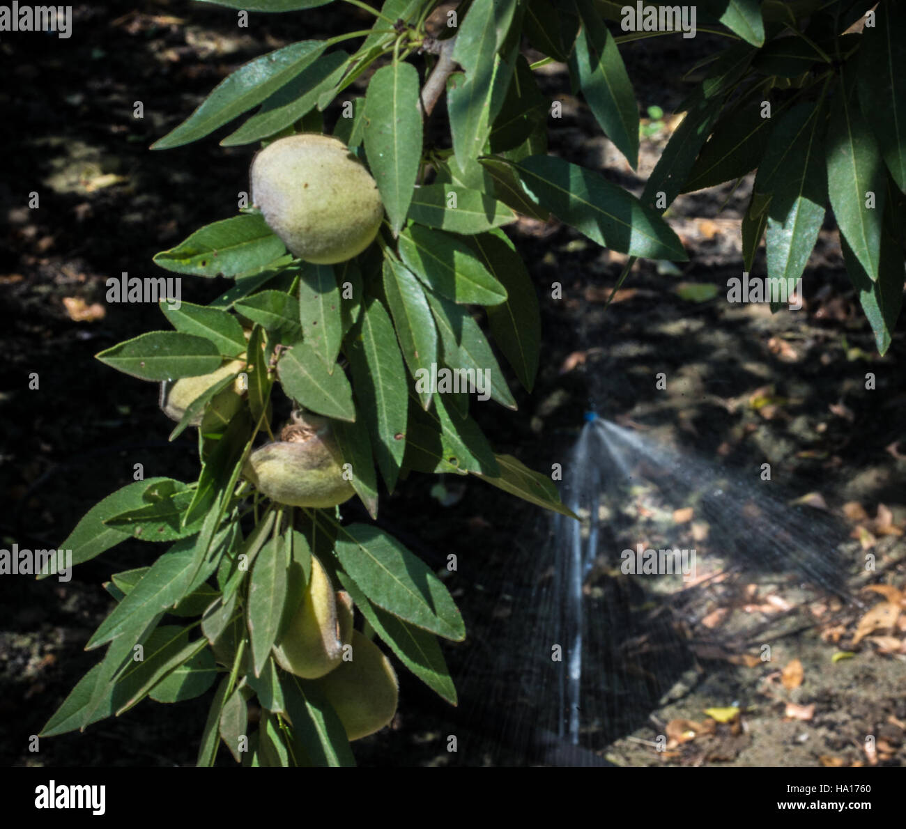 This photo shows a conservation plan in action at the Mota Ranch ...