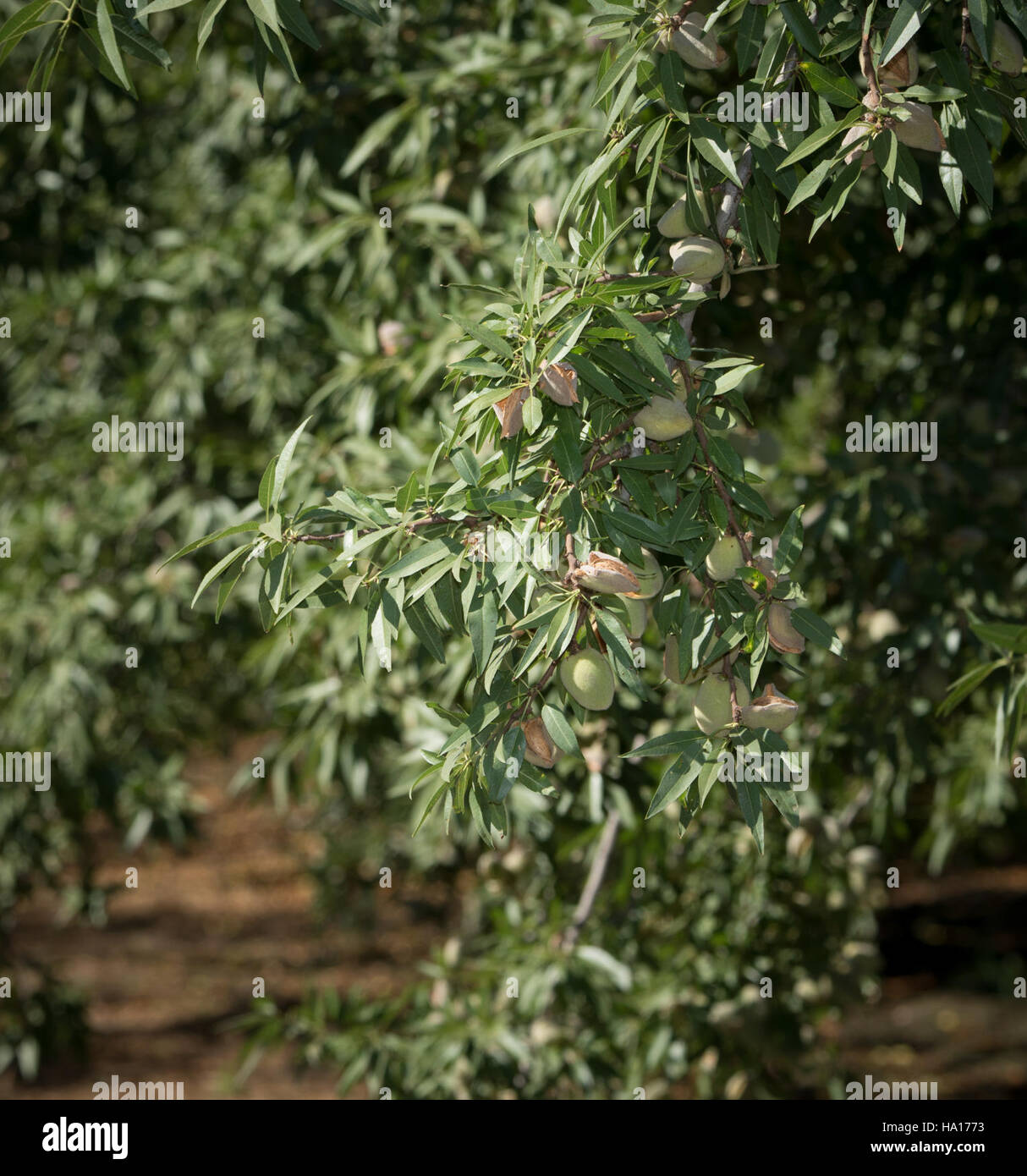 The Conservation Plan by NRCS focuses on sustainable farming practices ...