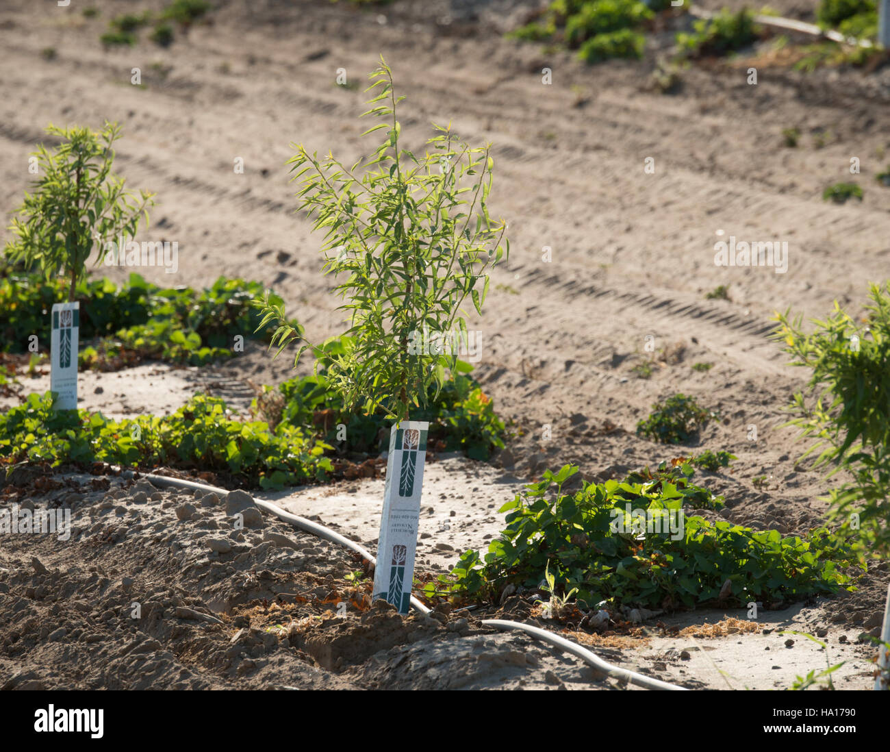 The NRCS Environmental Quality Incentives Program (EQIP) supports ...