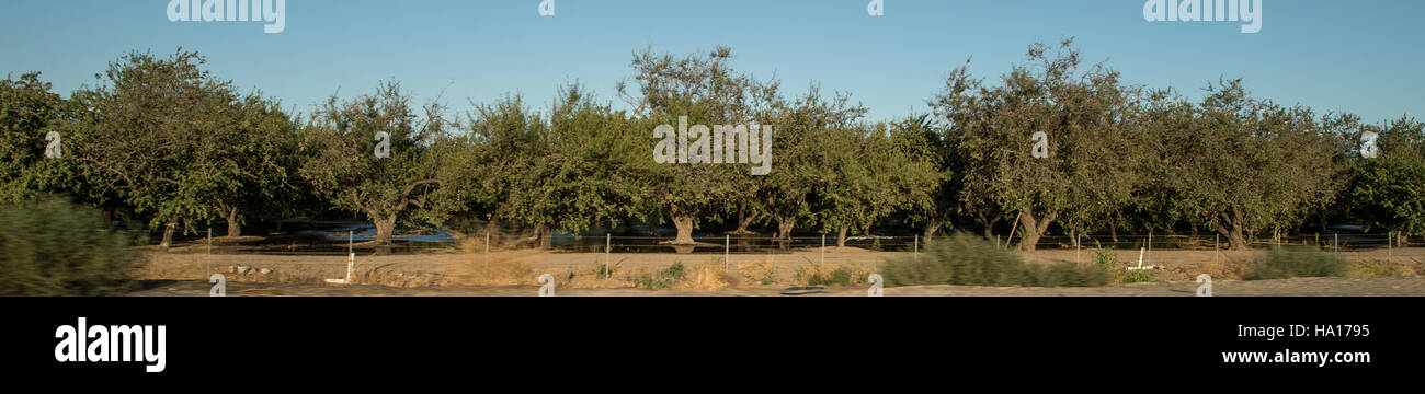 The Conservation Plan at Mota Ranch, supported by USDA’s NRCS program ...