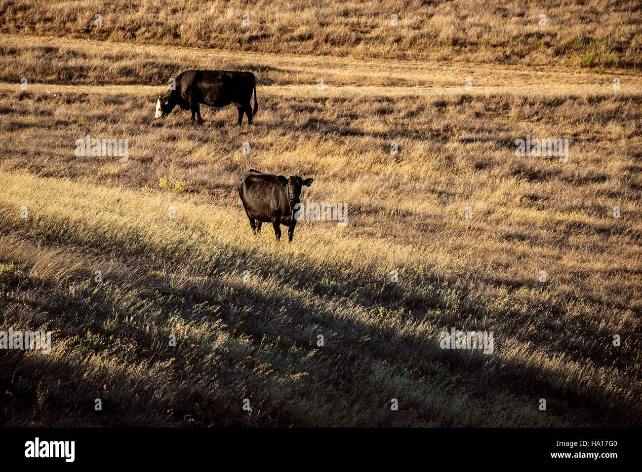 The NRCS Conservation Plan in Contra Costa County focuses on ...