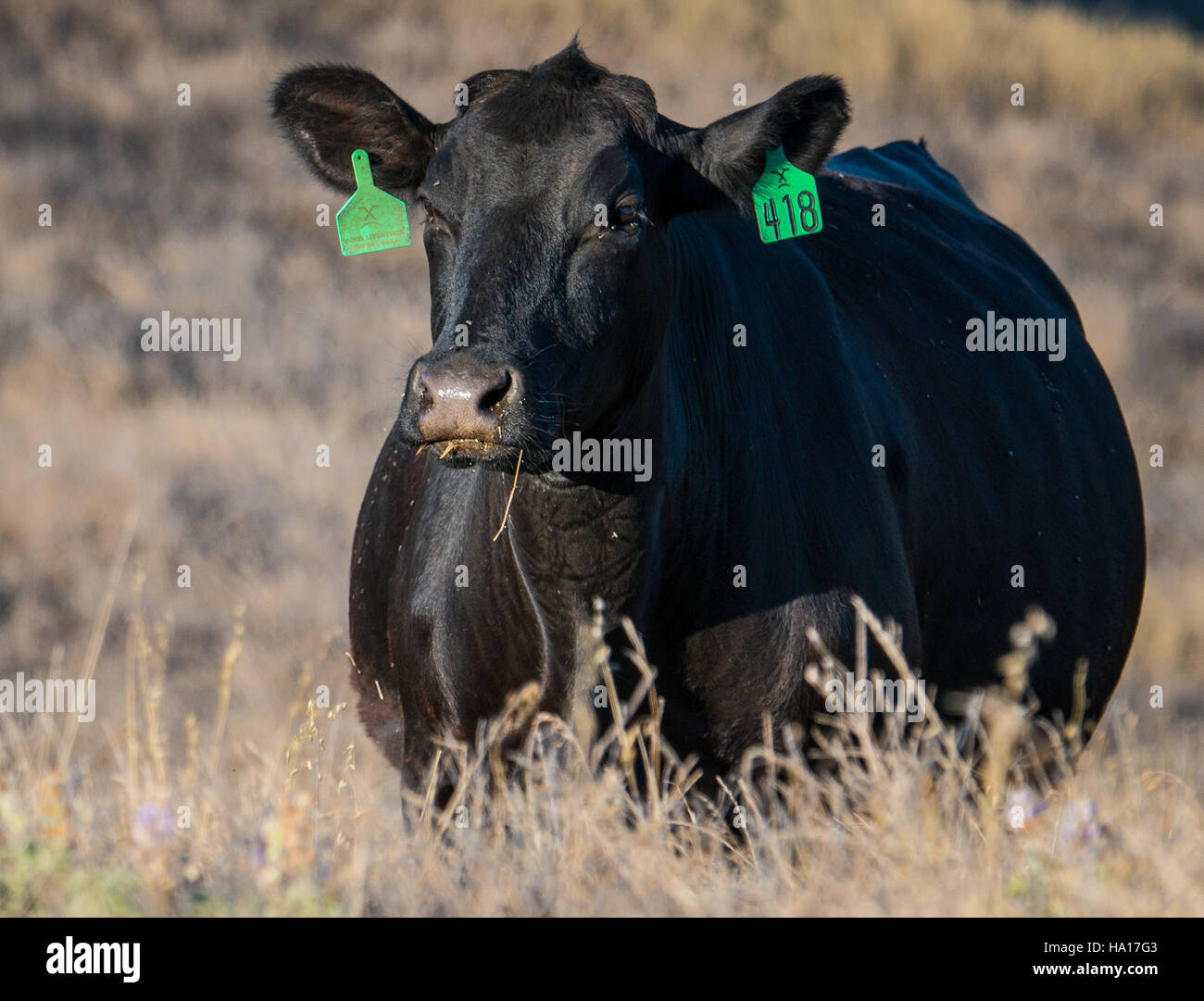 The USDA's EQIP conservation plan in Contra Costa County focuses on ...