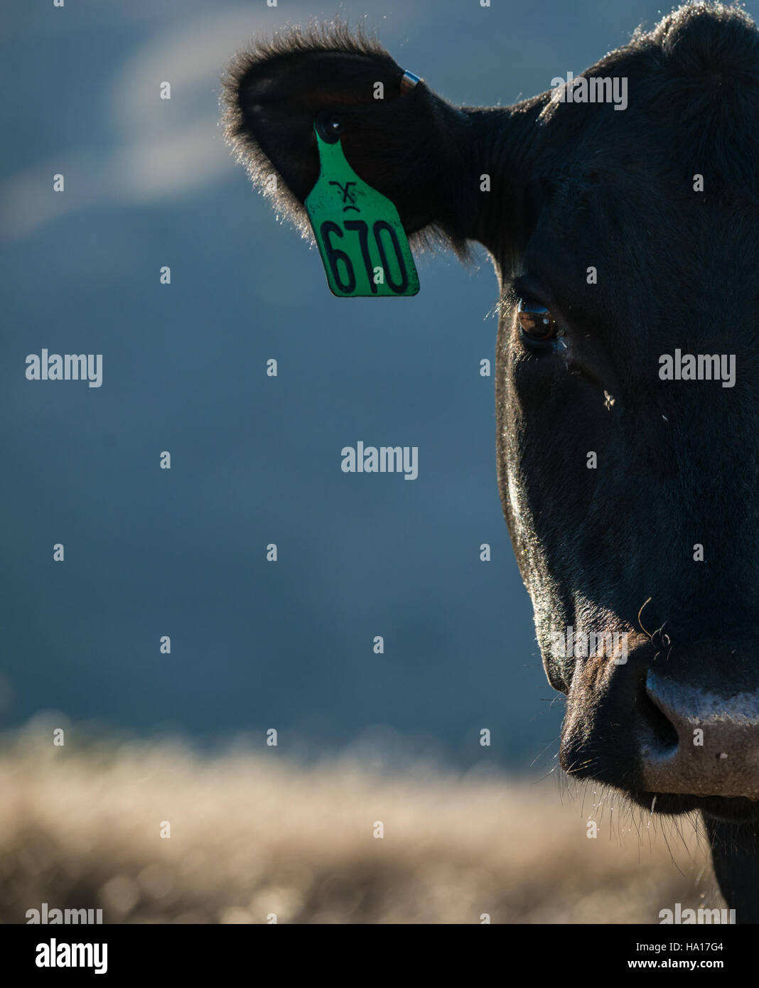 Energy incentives hi-res stock photography and images - Alamy