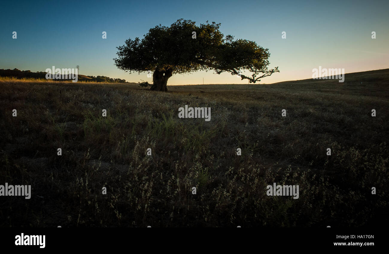 The USDA's NRCS in Contra Costa County provides conservation plans ...