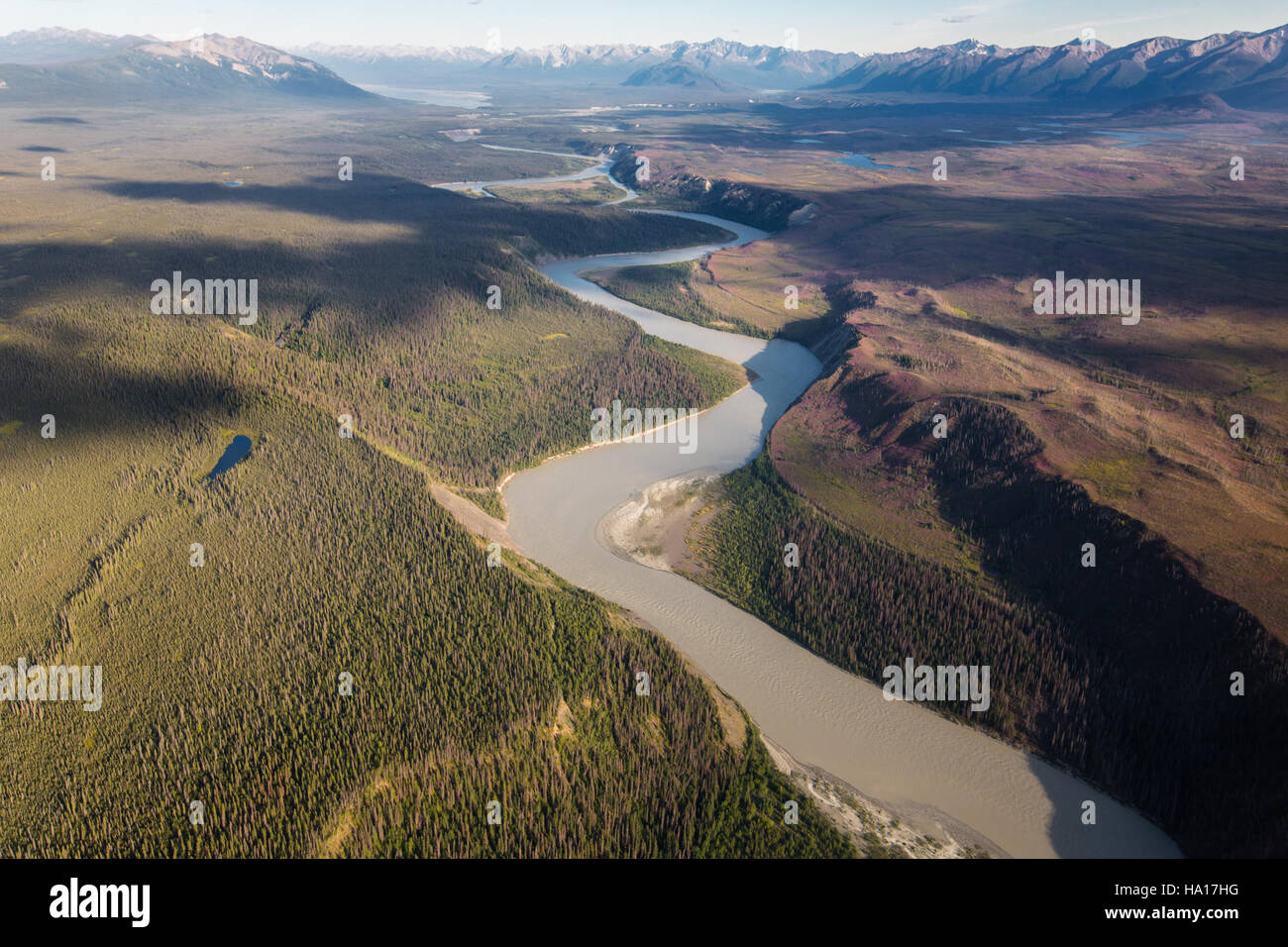 The Chitina River, located in Alaska, offers a critical habitat for ...