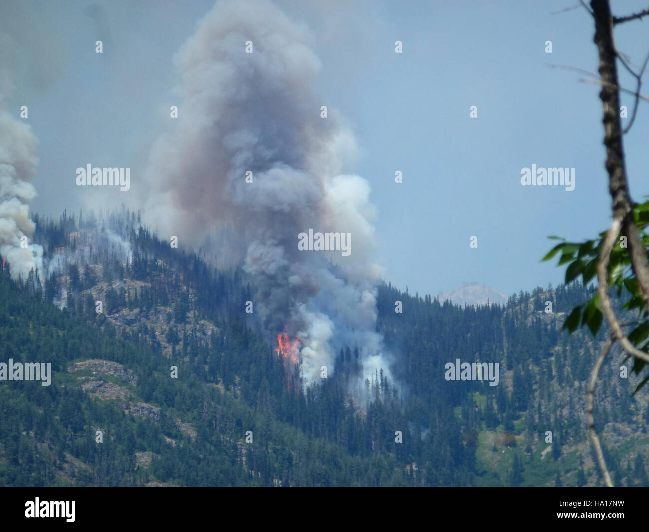 Firefighting crews work to contain wildfires in Washington State ...