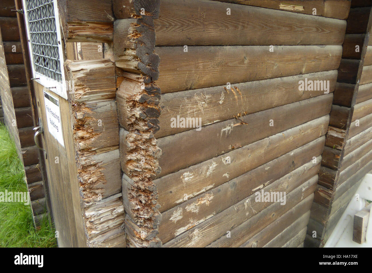 This image depicts bear damage to a fish-freezing building at Brooks ...