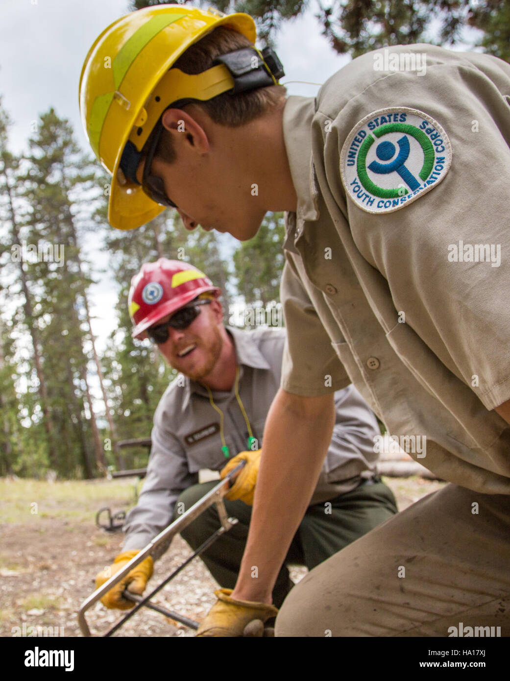The Youth Conservation Corps (YCC) crew at Yellowstone National Park ...