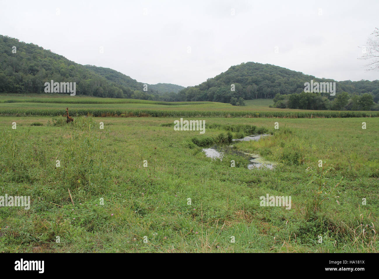 An image showcasing the USDA’s agricultural efforts and community ...