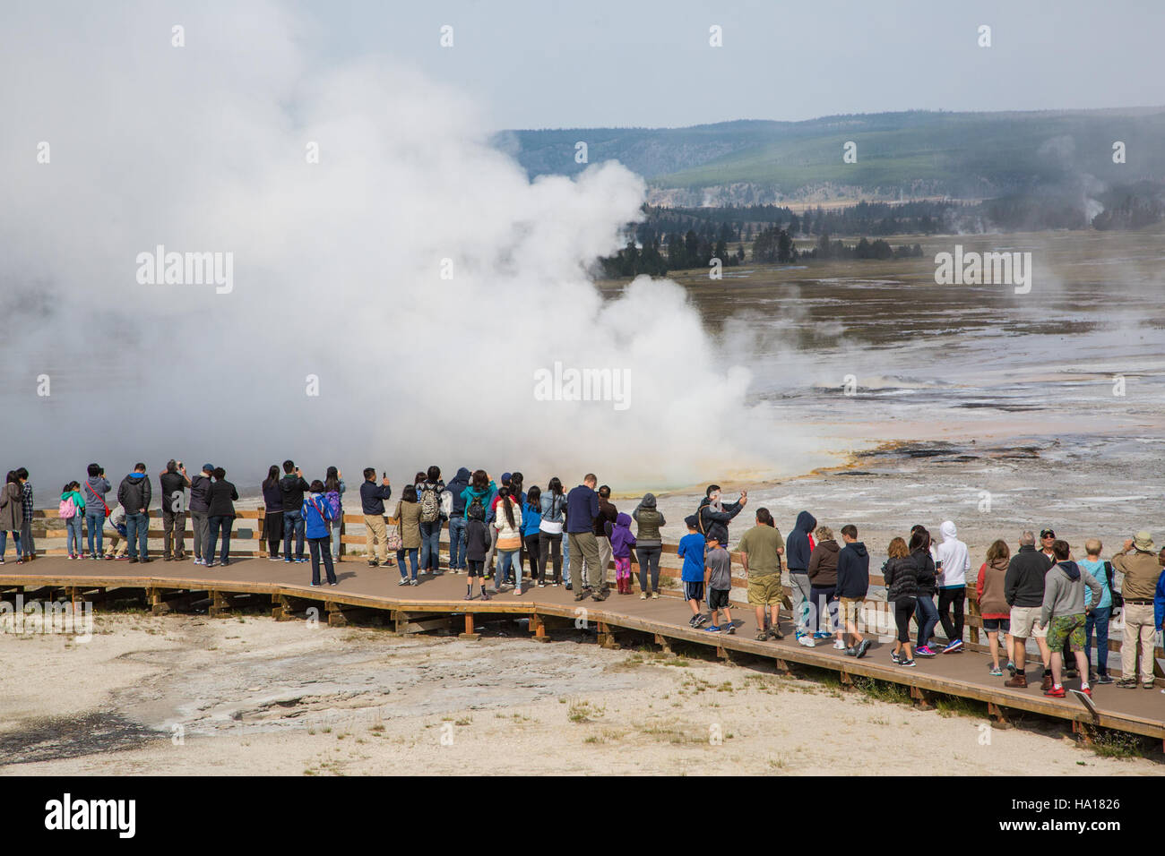 A crowded boardwalk in Yellowstone National Park showcases visitors ...