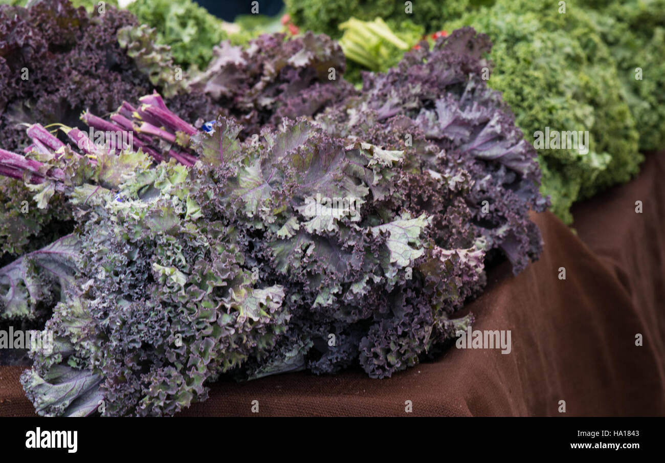 The USDA’s Supplemental Nutrition Assistance Program (SNAP) provides ...