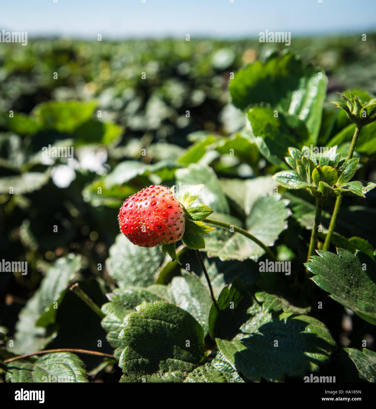 A USDA NRCS project focused on nature and science initiatives aimed at ...