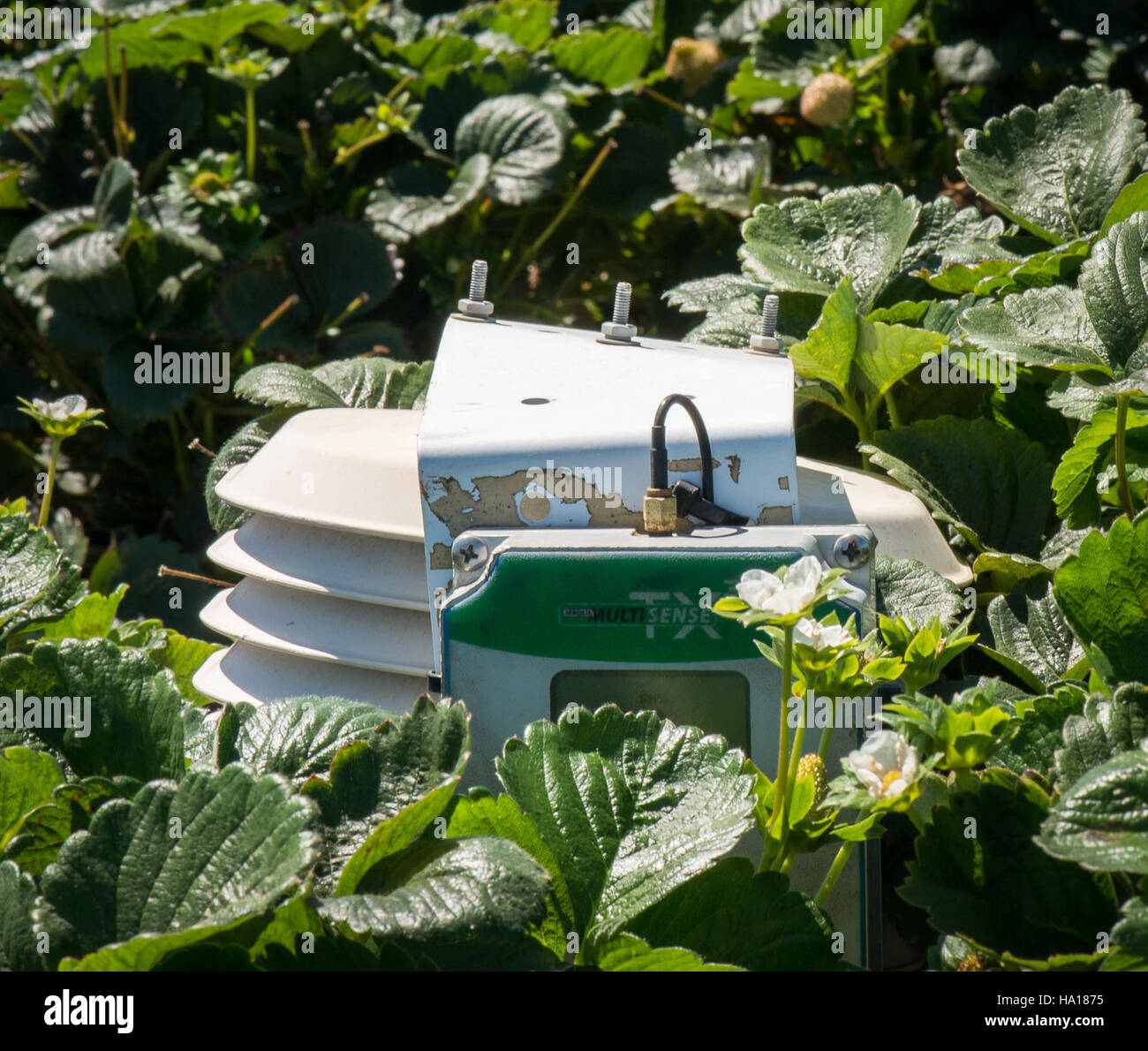 The USDA's Natural Resources Conservation Service (NRCS) works to ...