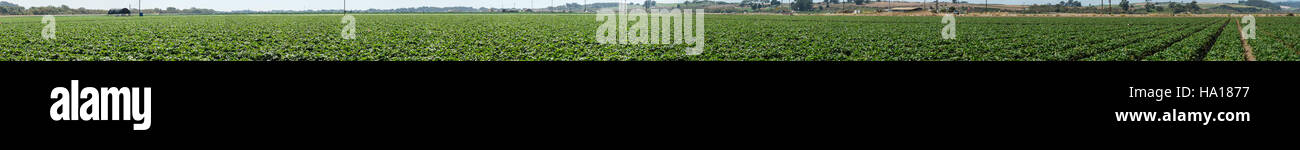 The USDA Natural Resources Conservation Service (NRCS) implements ...