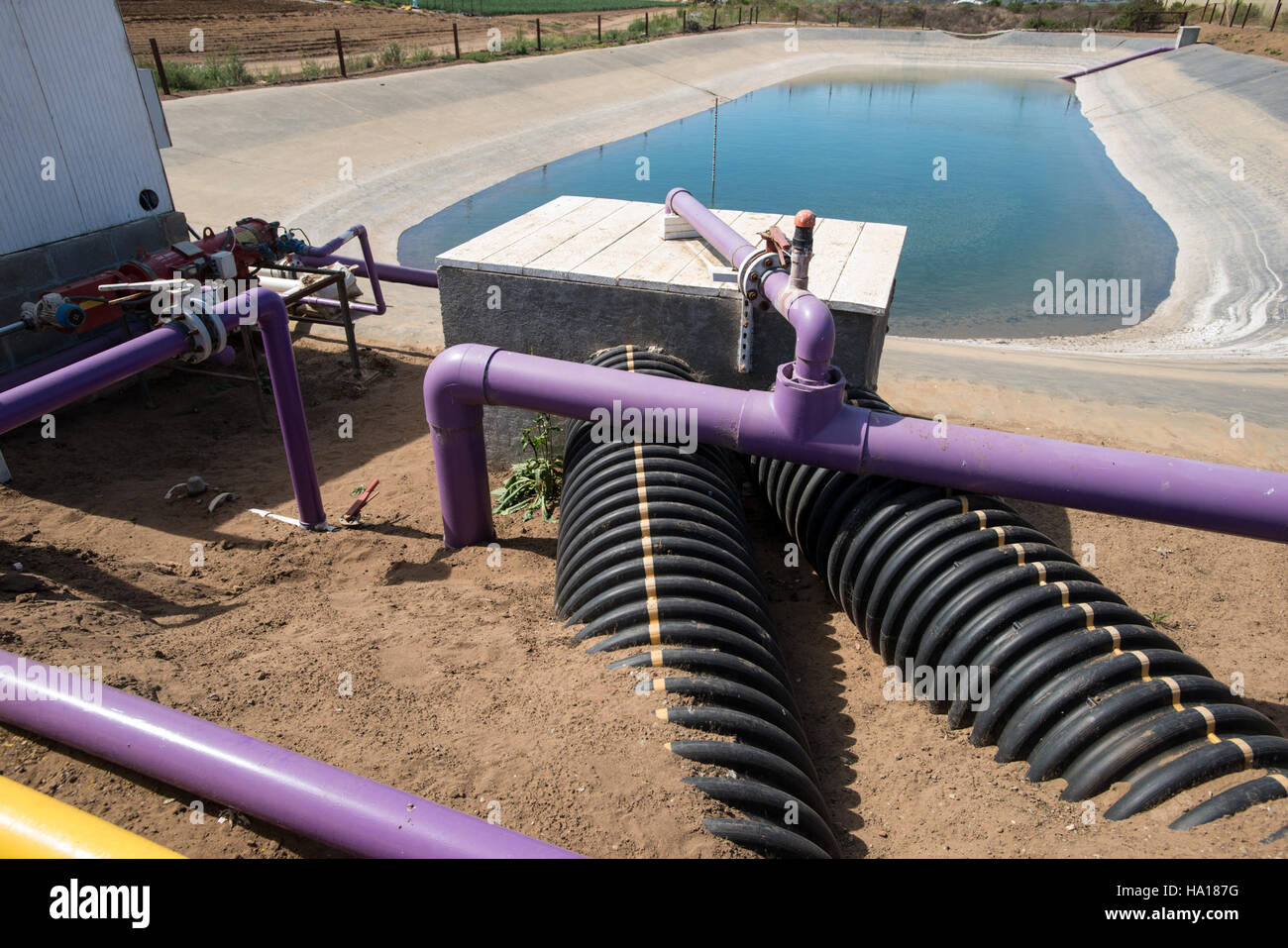 A USDA program in Watsonville, CA, promoting sustainable water ...