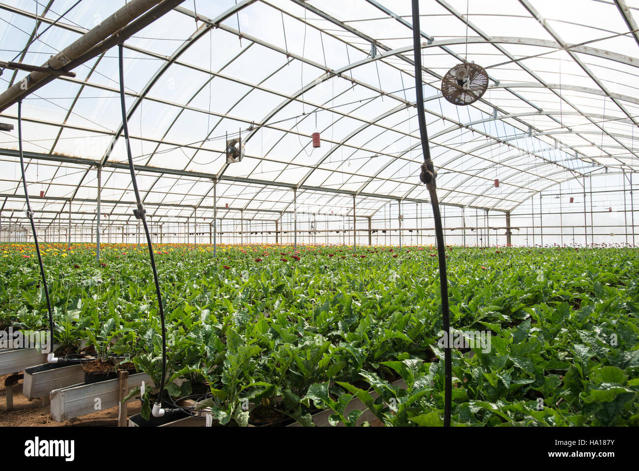 The USDA's Natural Resources Conservation Service (NRCS) in Watsonville ...