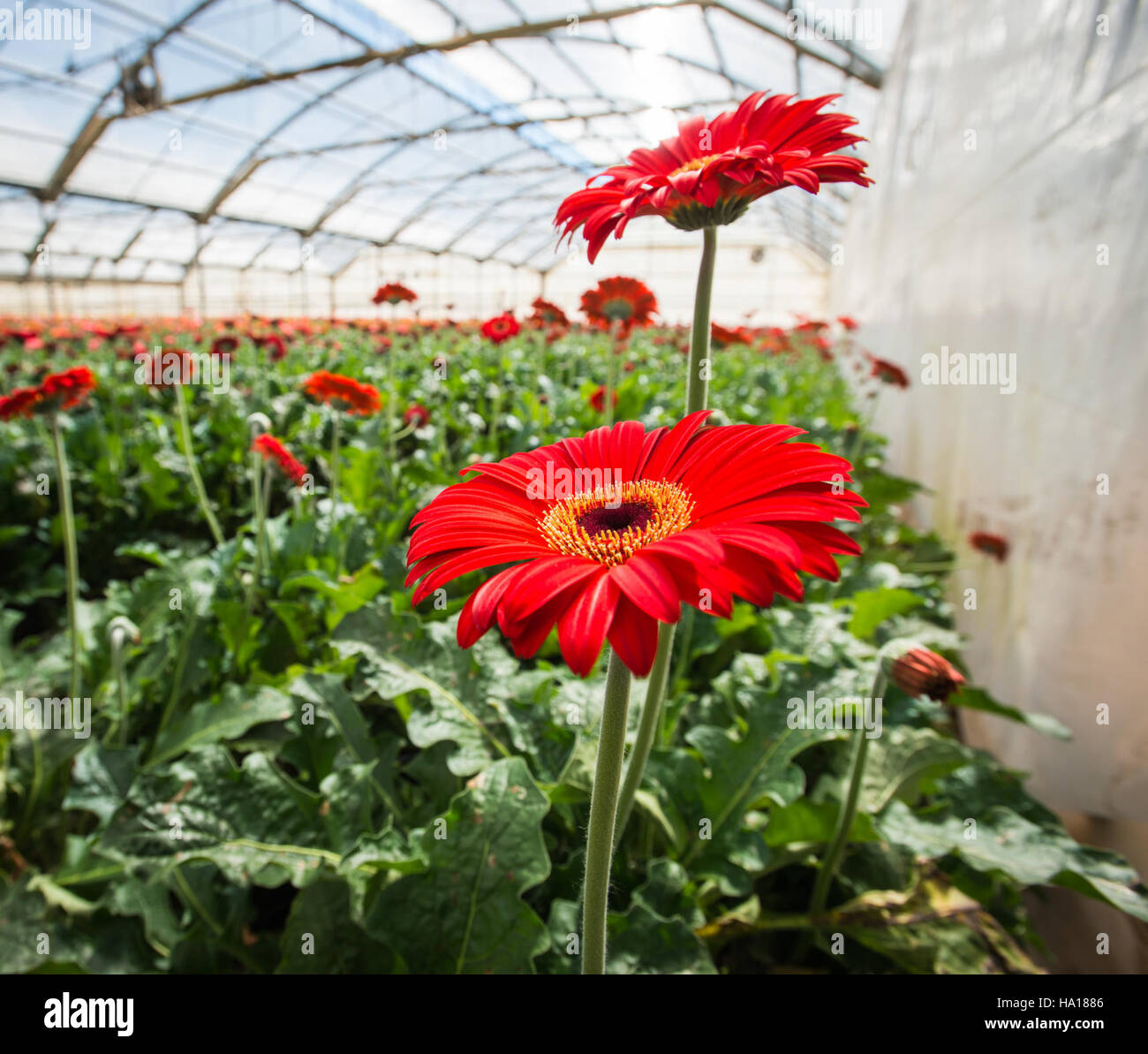 In Watsonville, California, the USDA’s Natural Resources Conservation ...