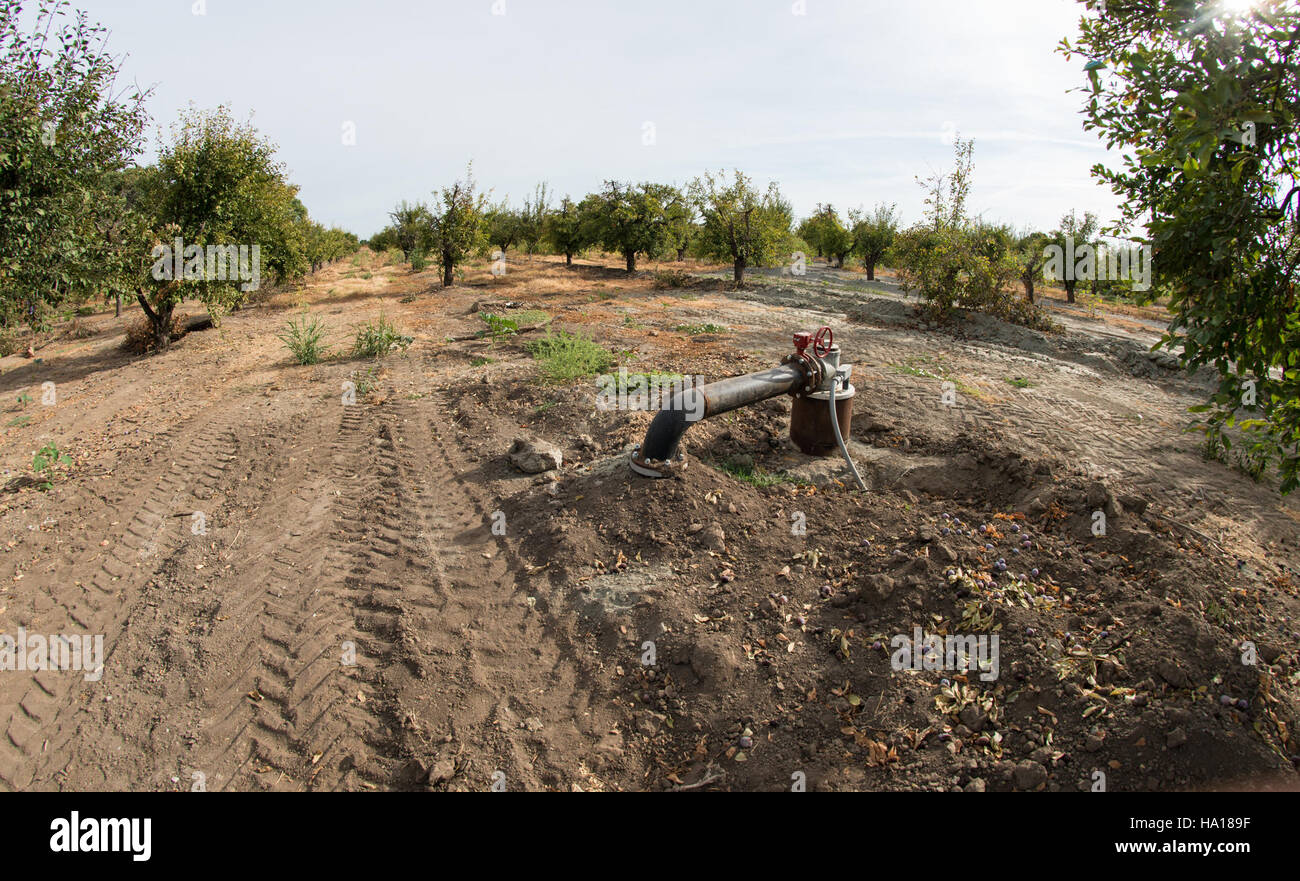The NRCS Gilsizer Slough Project in Yuba City, CA, aims to address ...