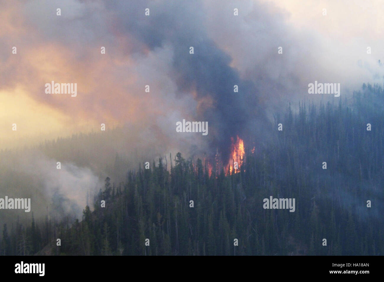 The image depicts a wildfire in Idaho, showcasing the devastating ...