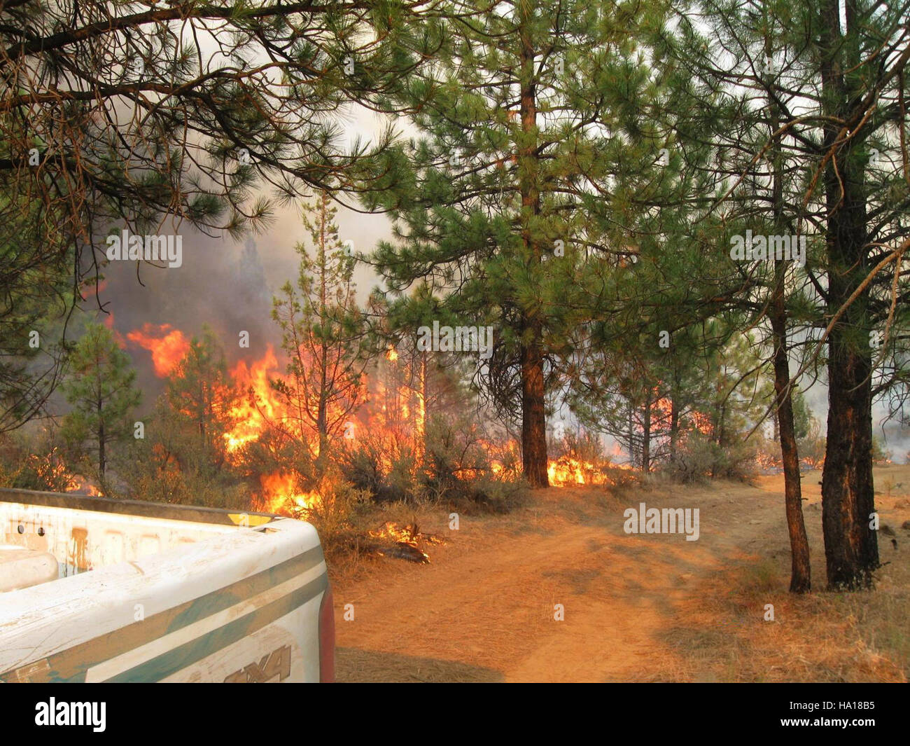 This image depicts the destructive power of a wildfire in Oregon ...