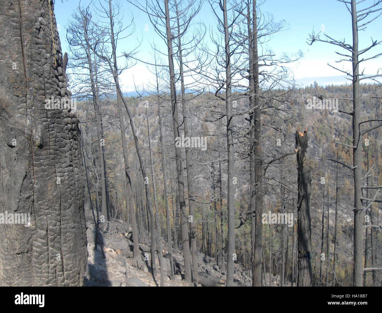 Air quality control reforestation hi-res stock photography and images ...
