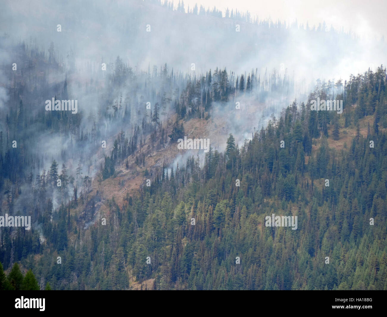 This image depicts the USDA Forest Service's response to a wildfire in ...