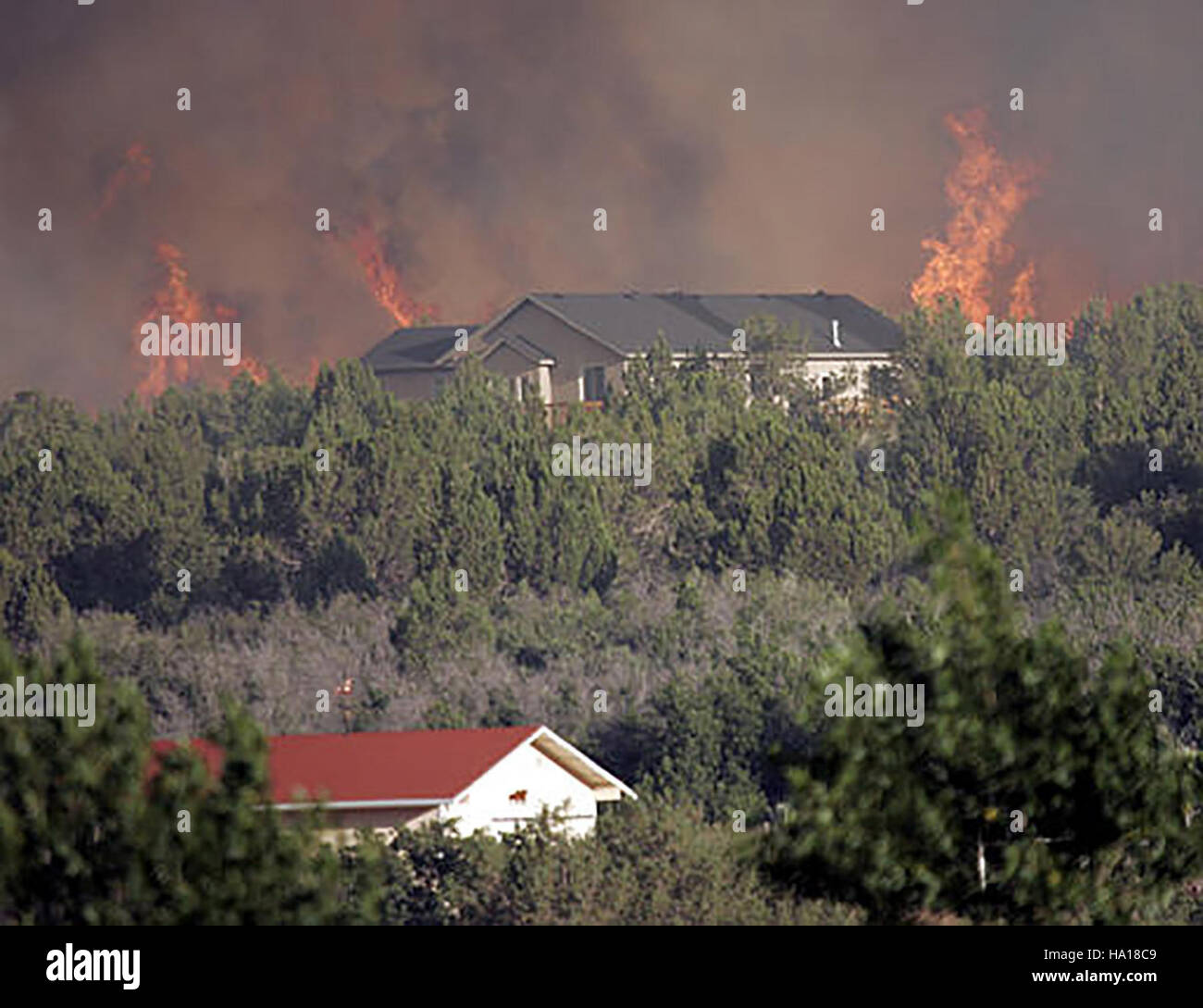 A wildland fire burning near homes and trees highlights the ongoing ...