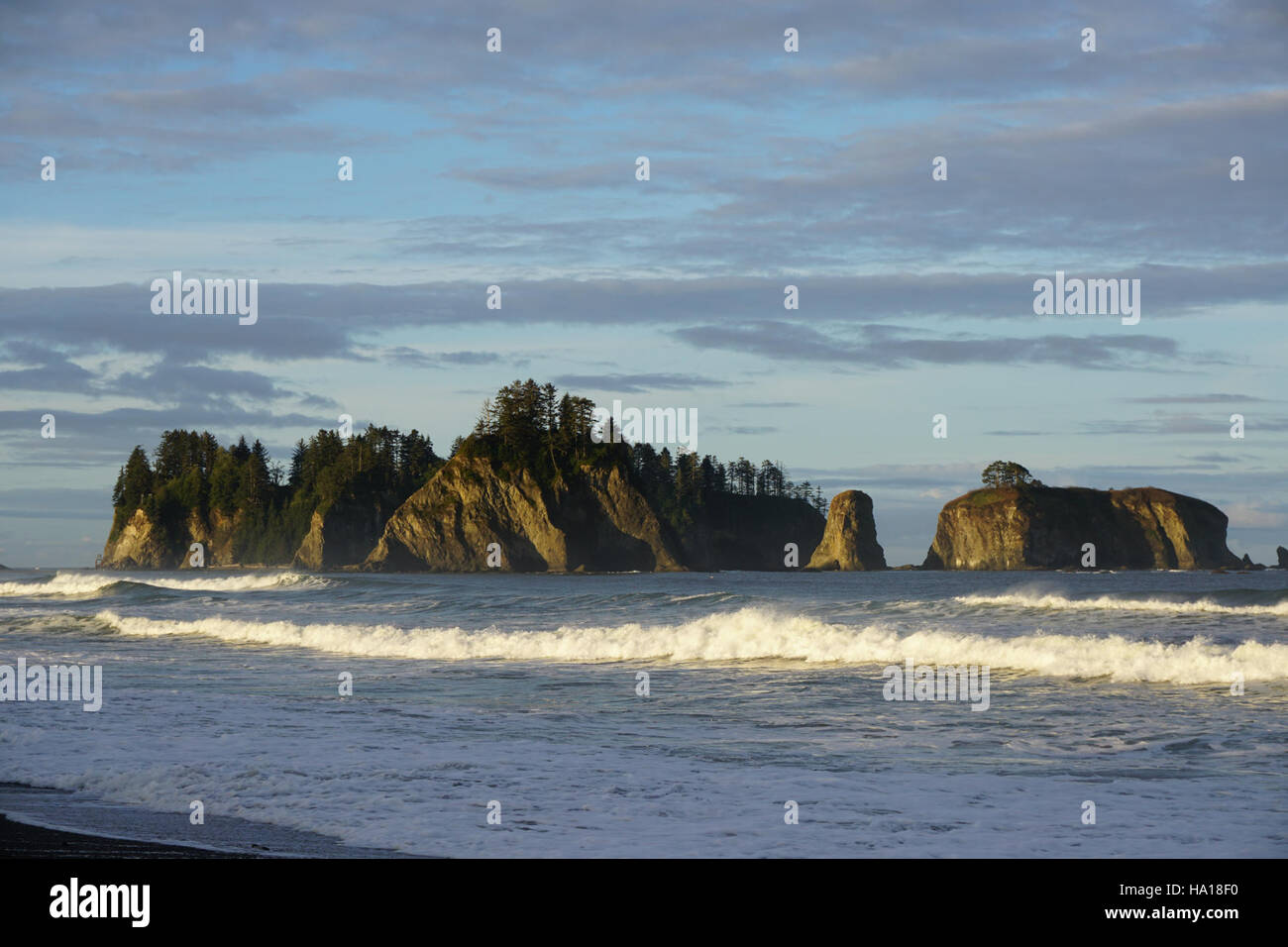 The Olympic National Park is known for its diverse ecosystems ...