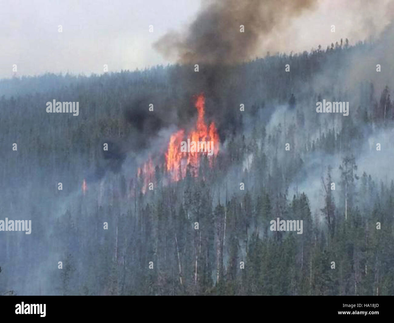 Fire management efforts in Idaho focus on wildfire prevention and ...