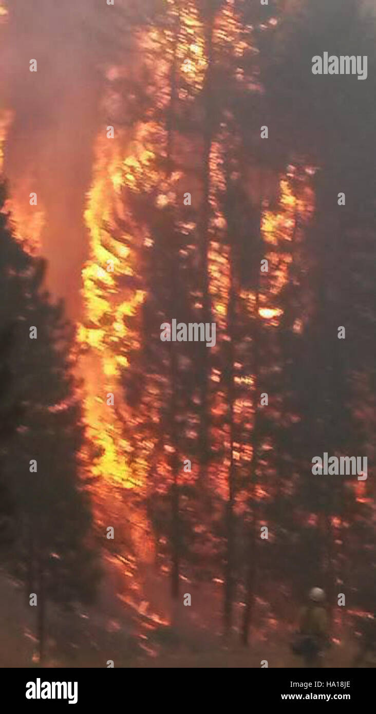 Wildfire management efforts in Washington are critical for maintaining ...