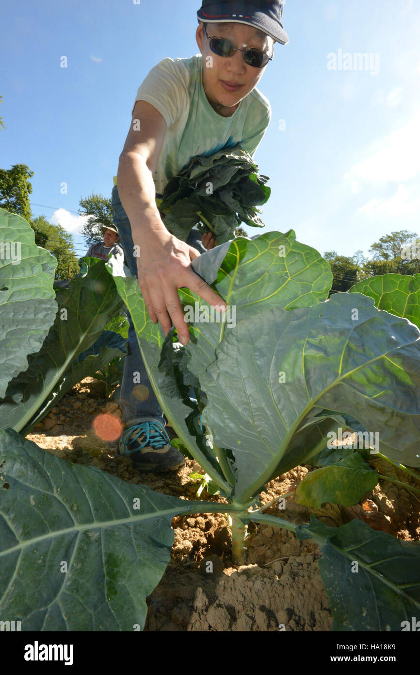 An image highlighting the importance of environmental conservation and ...