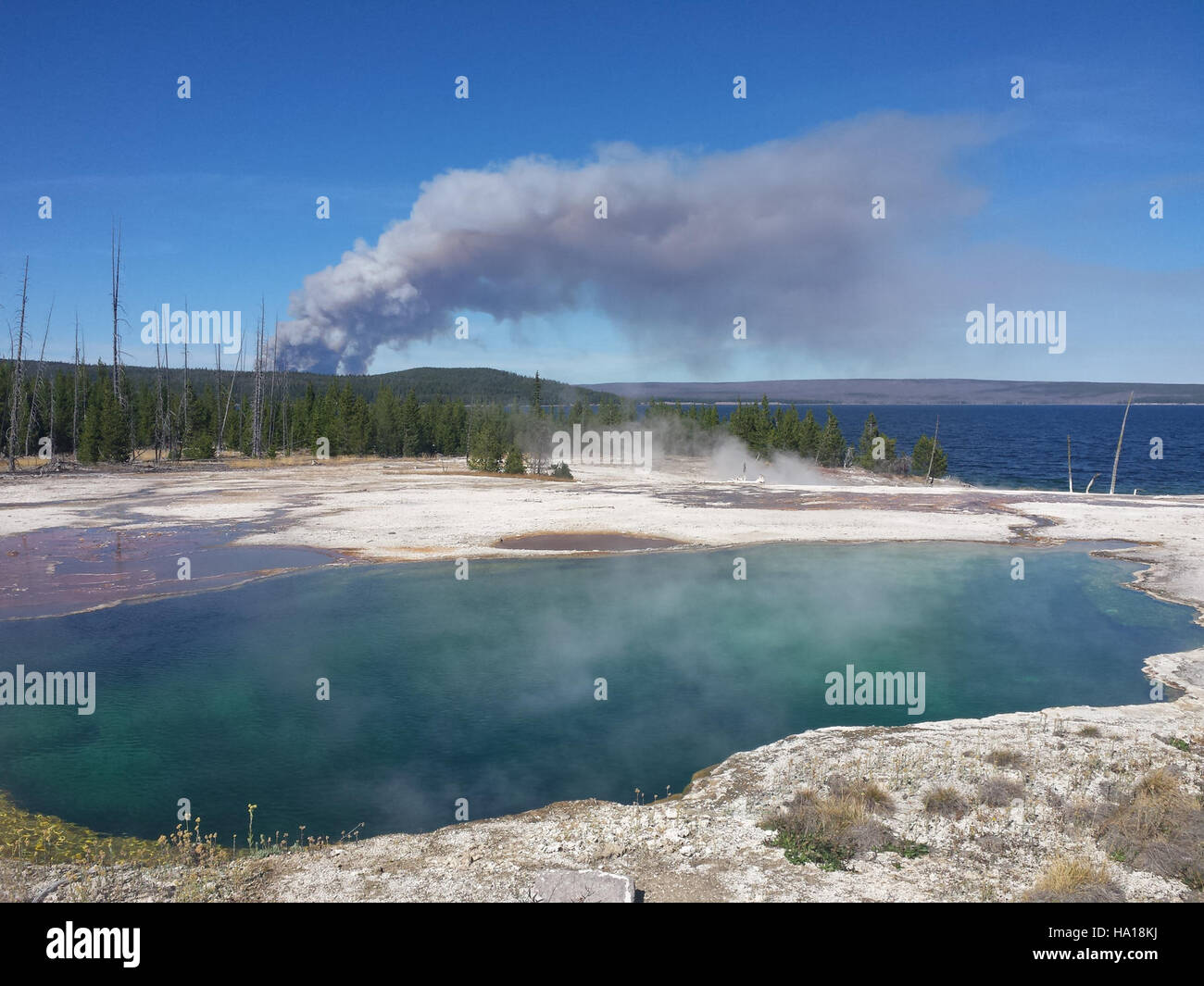 This image shows the Spruce Fire within Yellowstone National Park. The ...