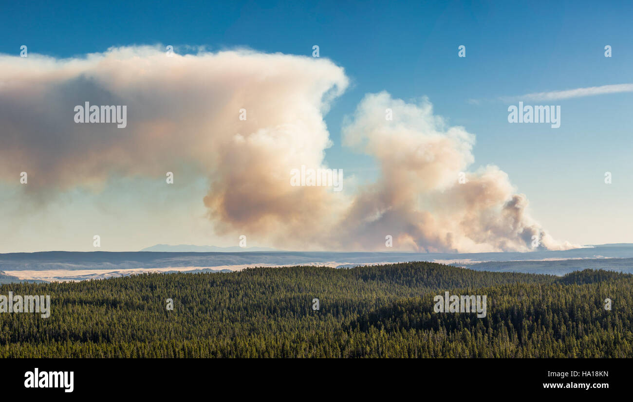 The Spruce Fire in Yellowstone National Park, observed from Dunraven ...