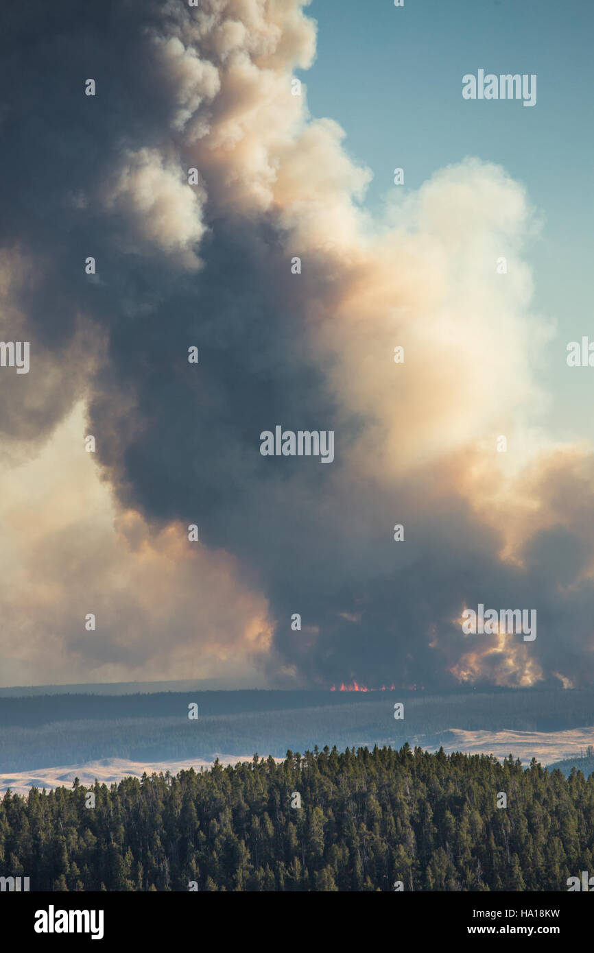 The Spruce Fire, observed from Dunraven Pass in Yellowstone National ...