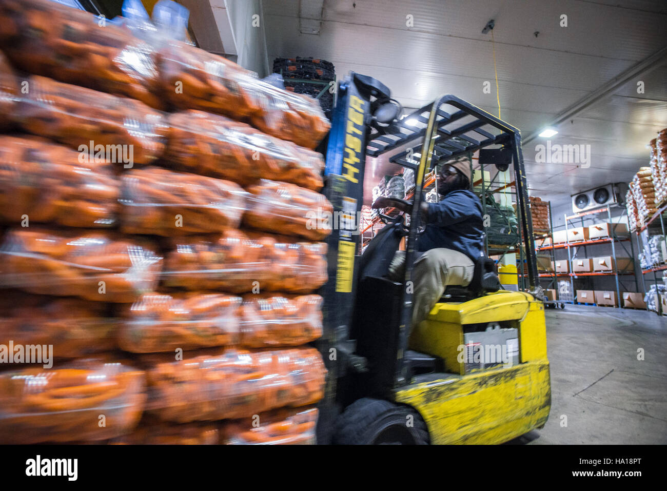 The image shows Stan Meiberg from the EPA and Jilly Stephens from City ...