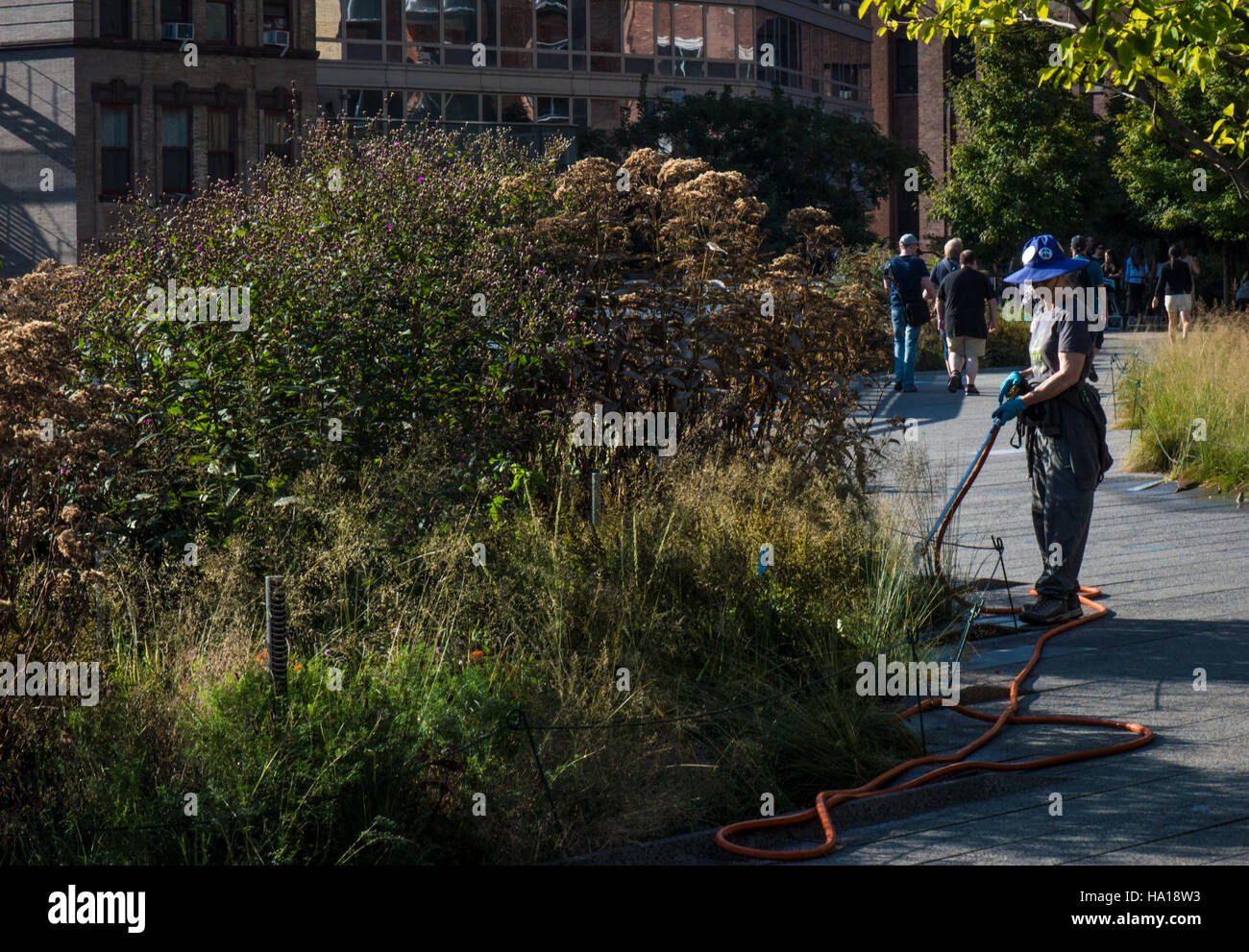 A USDA report documenting efforts to improve food security and ...