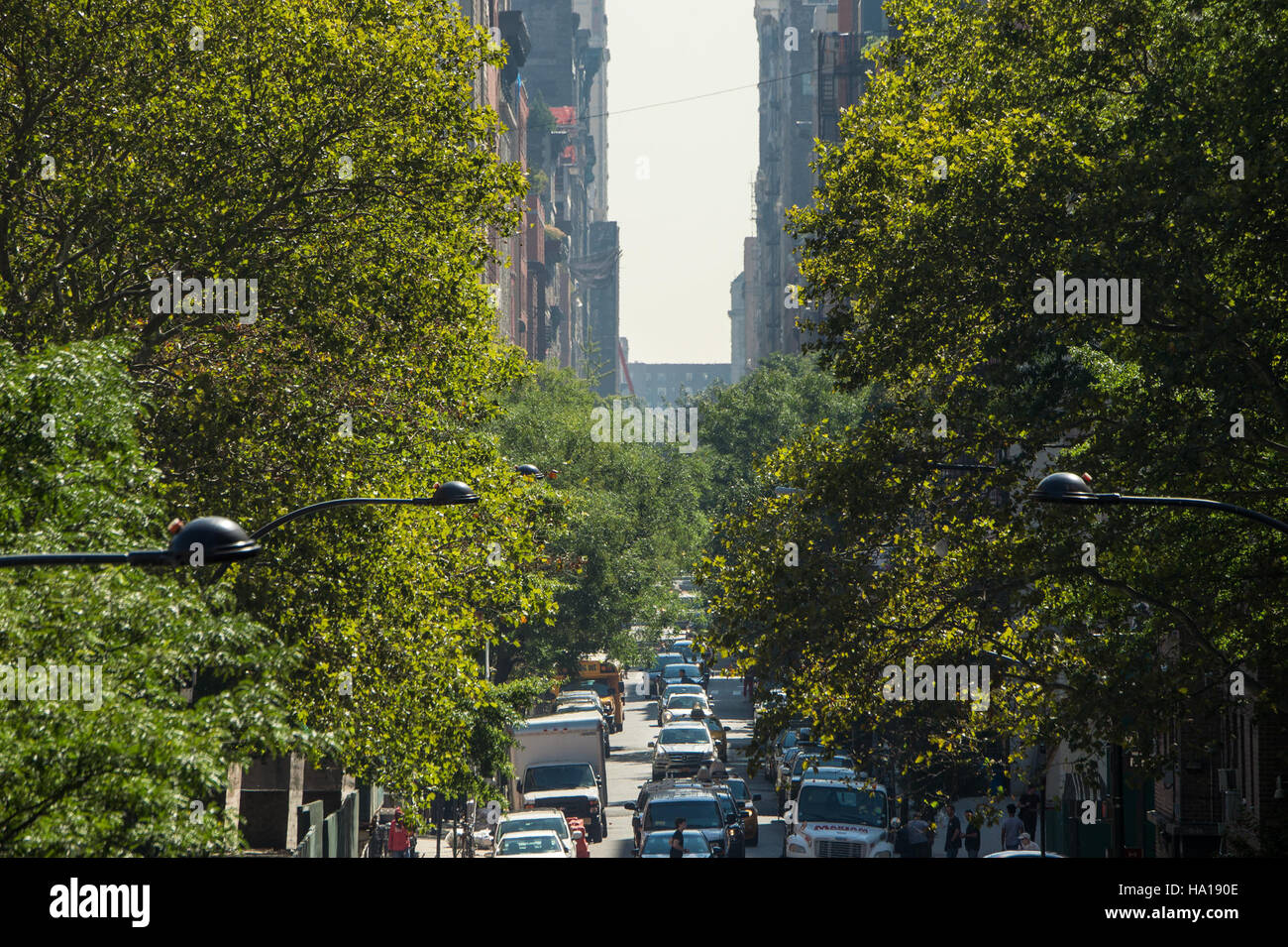 A photo showcasing the intersection of nature and science, emphasizing ...