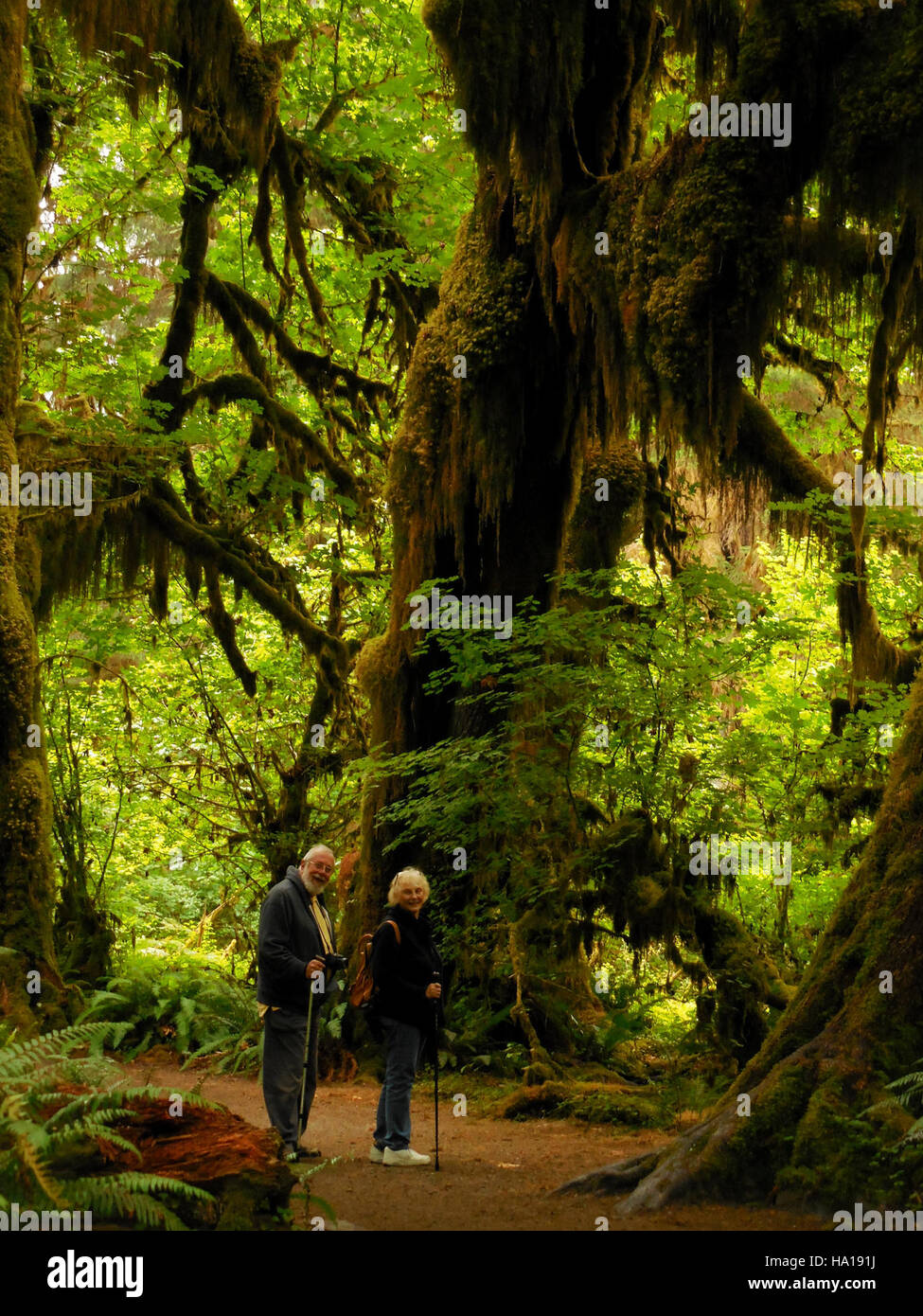 Olympic National Park offers diverse ecosystems, ranging from coastal ...