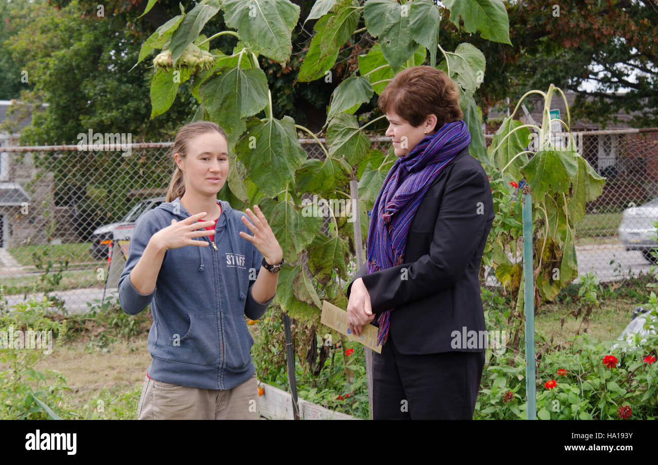 Agricultural curriculum hi-res stock photography and images - Alamy