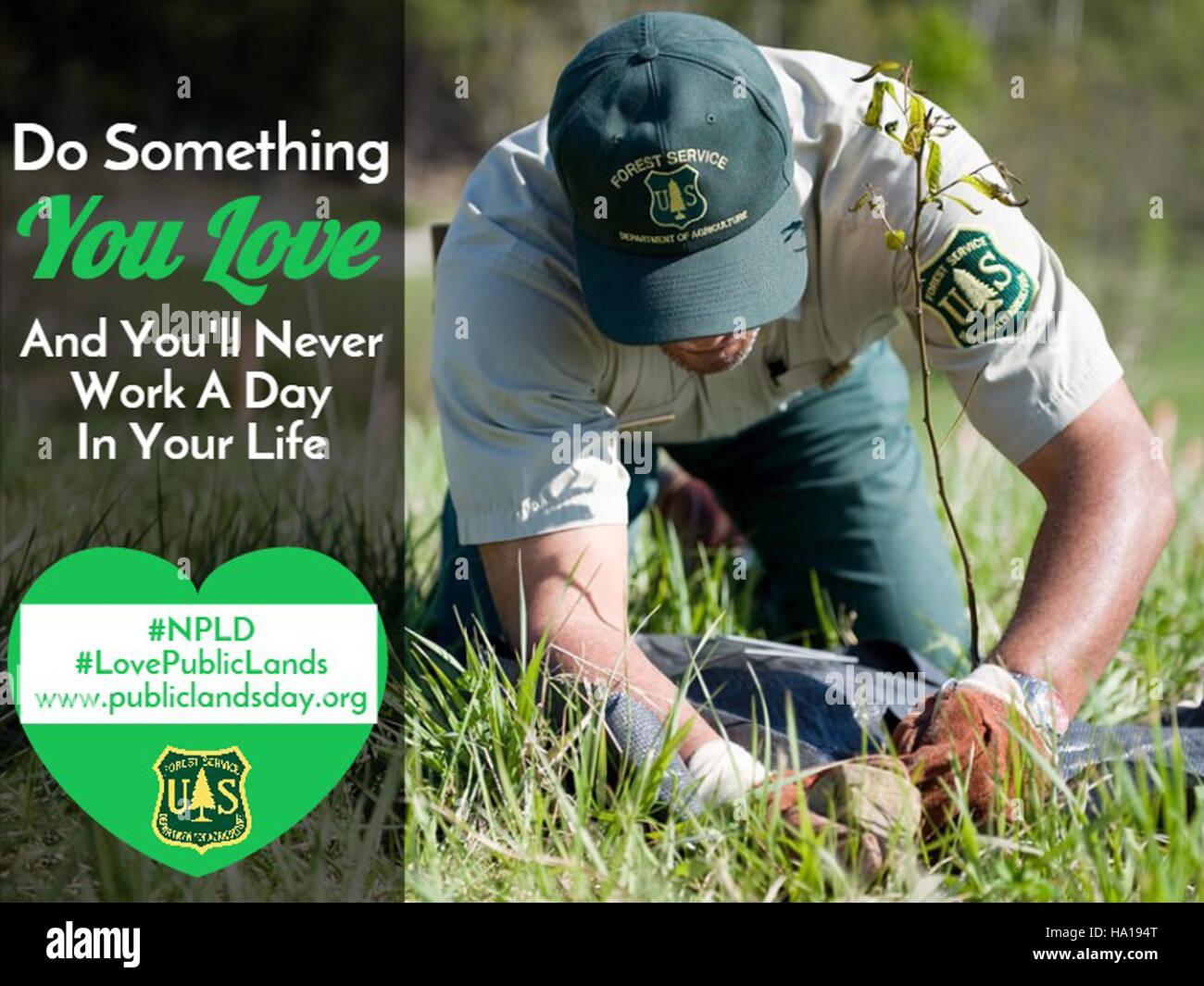 A USDA Forest Service employee engages with forest management efforts ...