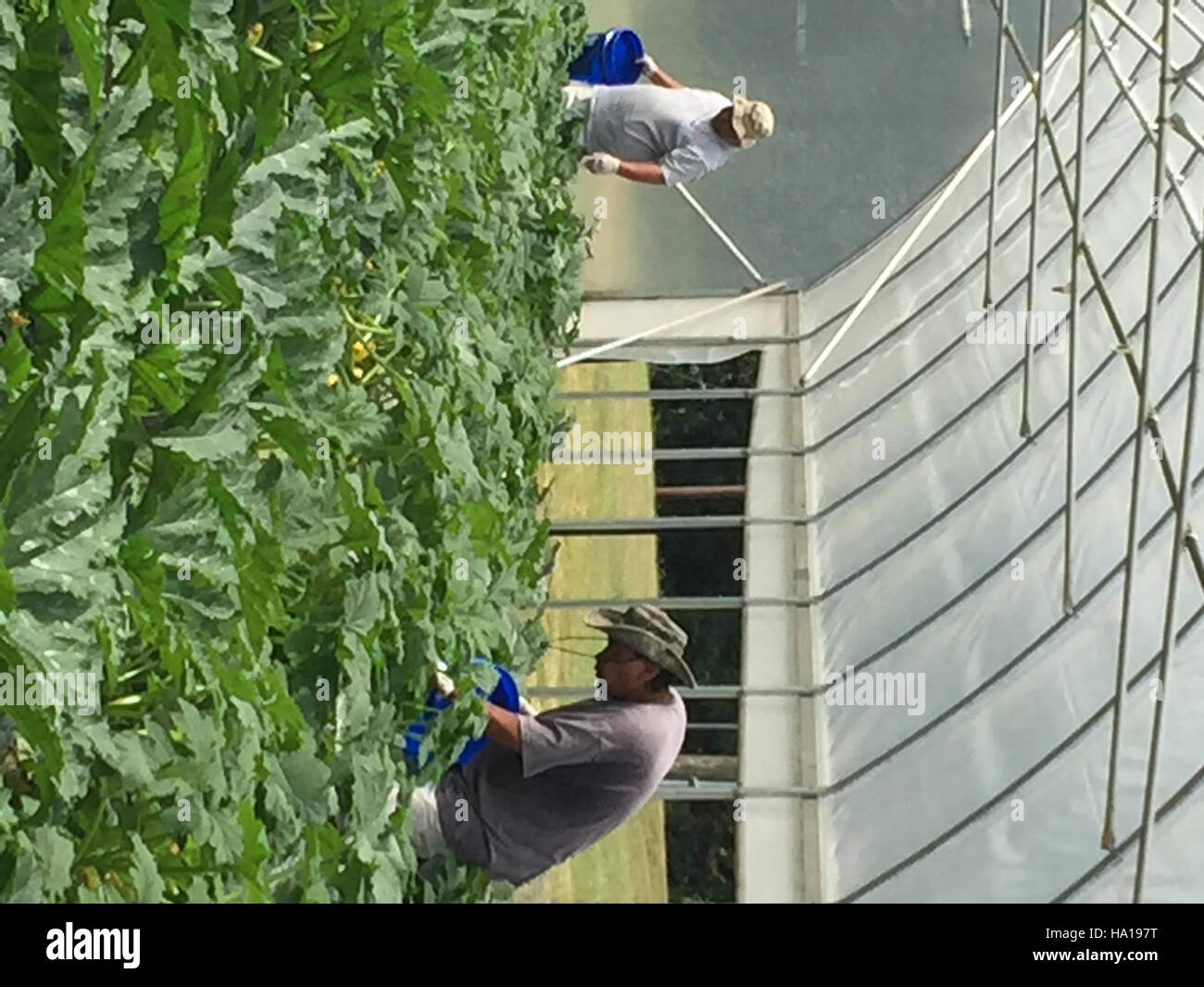 Choctaw indians hi-res stock photography and images - Alamy