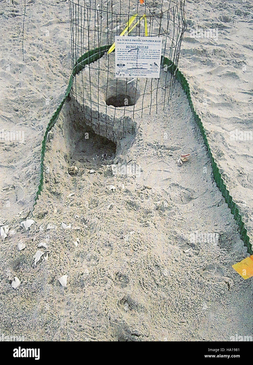 Aphis species hi-res stock photography and images - Alamy